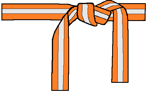 Kids Orange Belts | Academy of Classical Karate