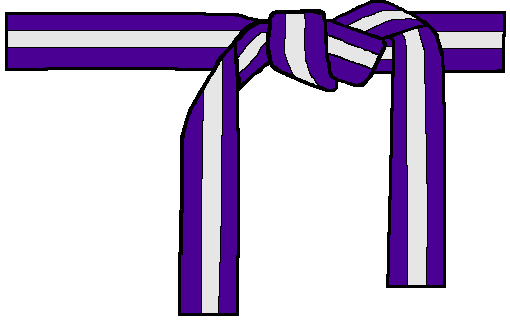 Purple Belt w/ White Stripe | Academy of Classical Karate
