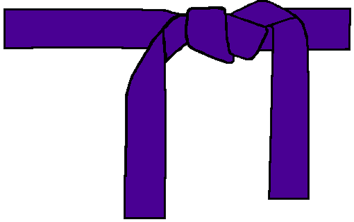 Purple Belt | Academy of Classical Karate